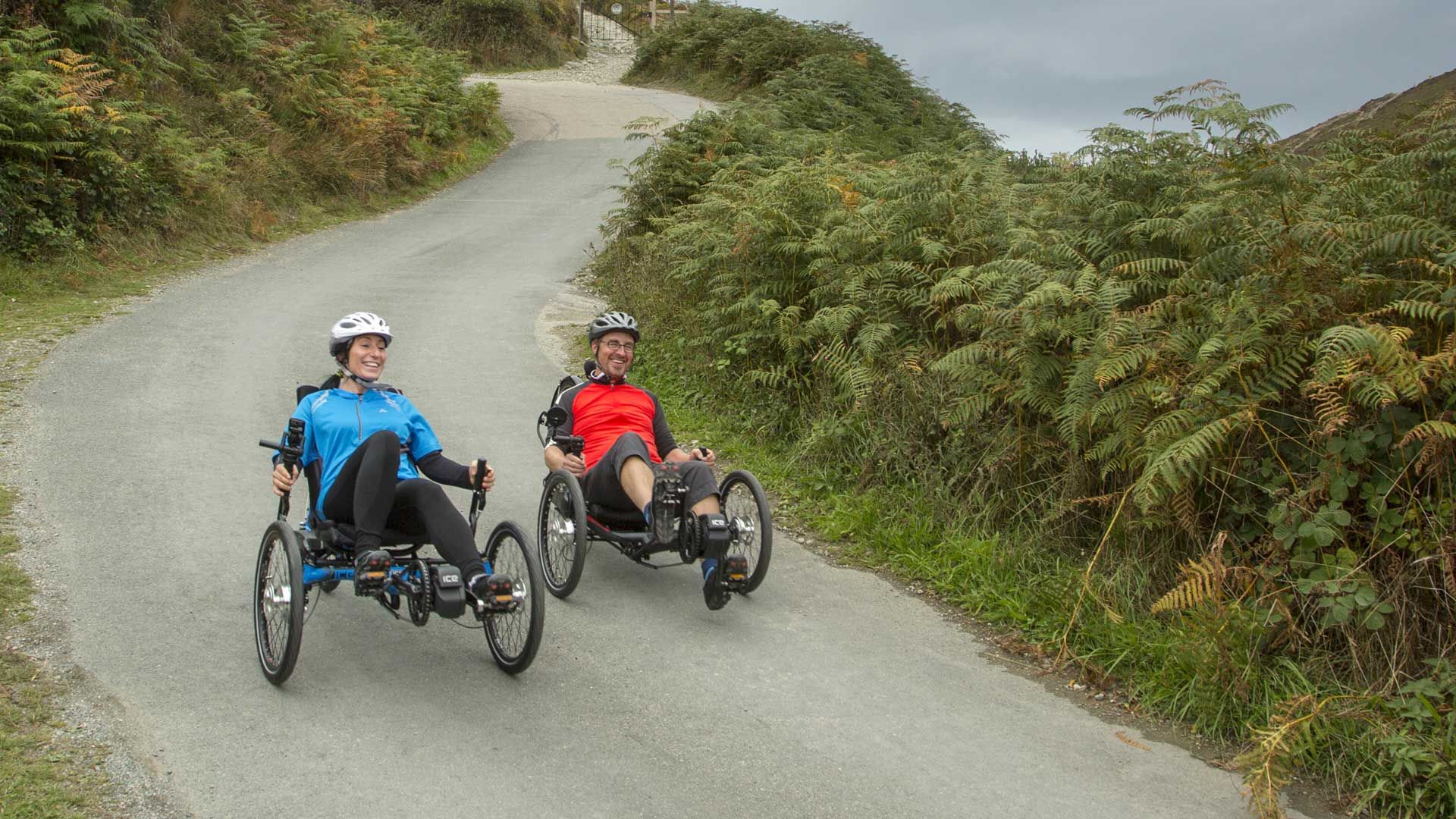 Hochwertige Dreiräder in großer Vielfalt – Traumvelo